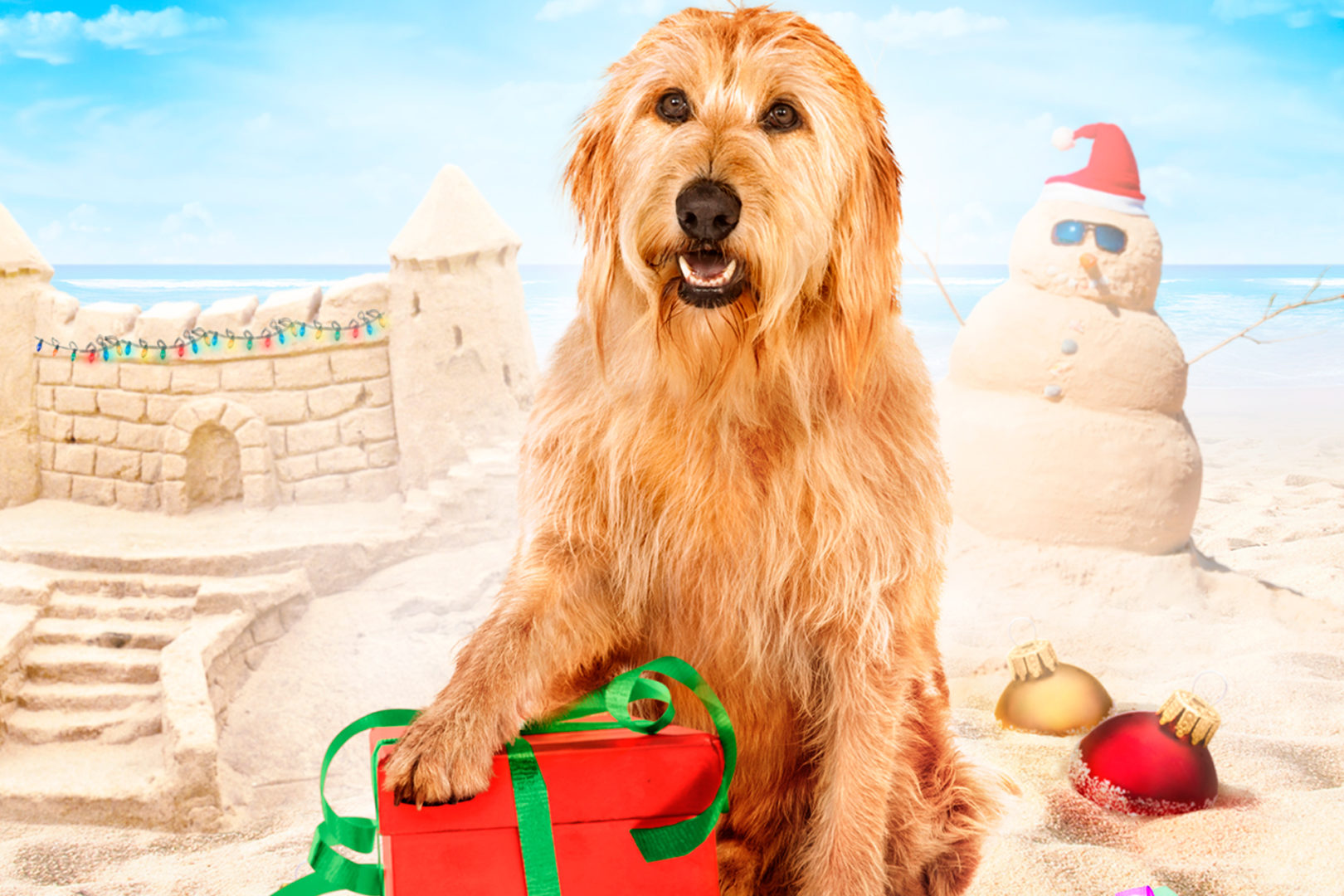 Chilly Christmas - CineStar TV Channels